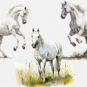 White Horse Watercolor Bundle | 20 Majestic Clipart Digital Prints ...