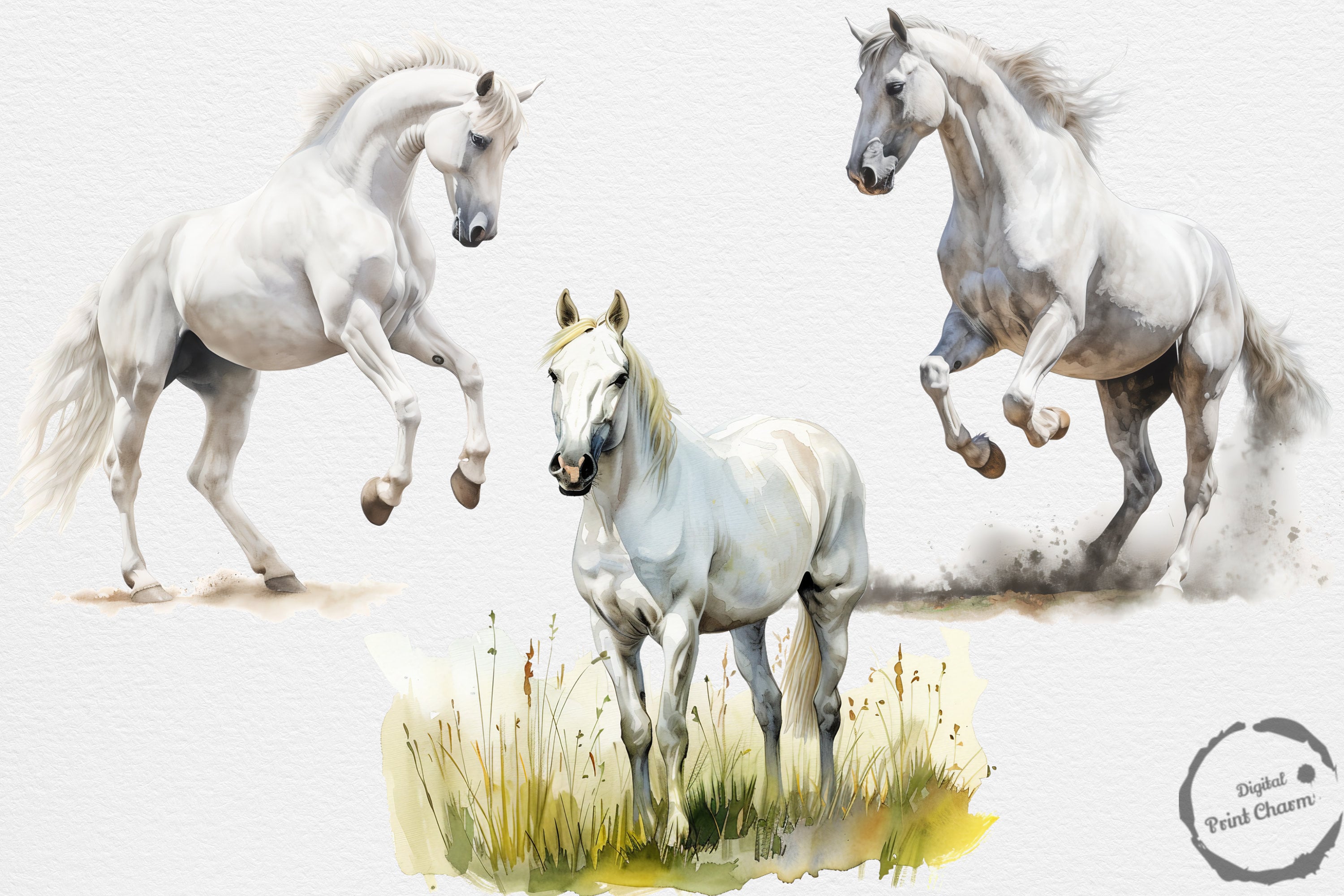 White Horse Watercolor Bundle 20 Majestic Clipart Digital Prints ...