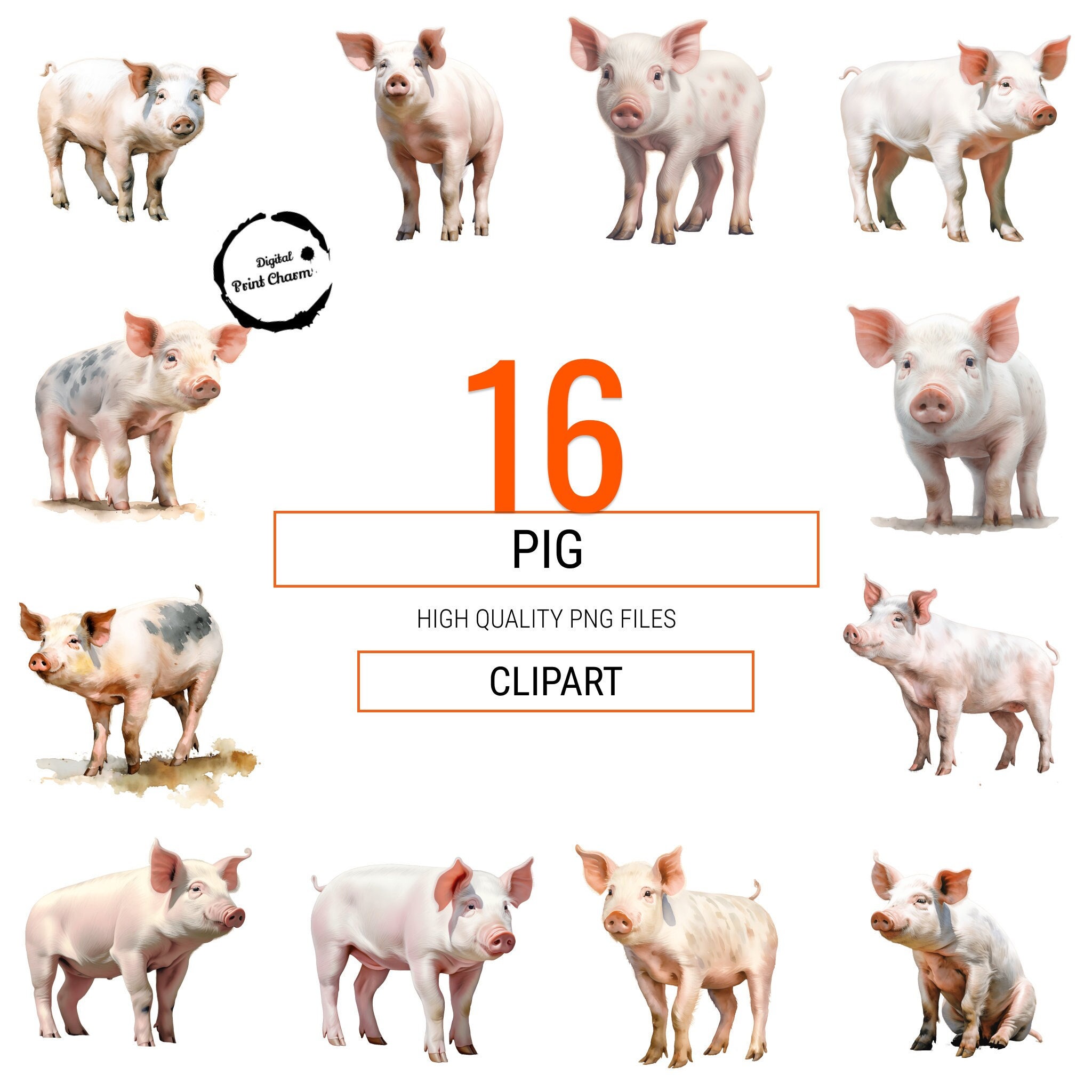 16 Pig Clipart Digital Prints Realistic Watercolor Art Perfect for ...
