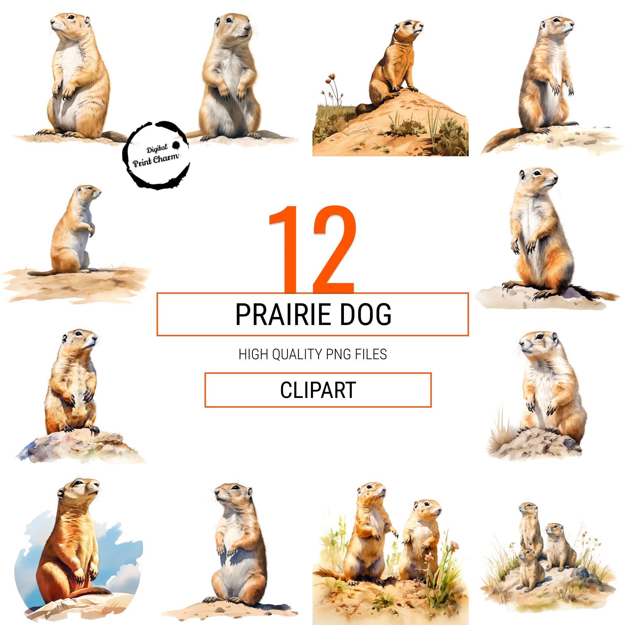 Prairie Dogs Clipart Bundle: 12 Realistic Watercolor Paintings Perfect ...