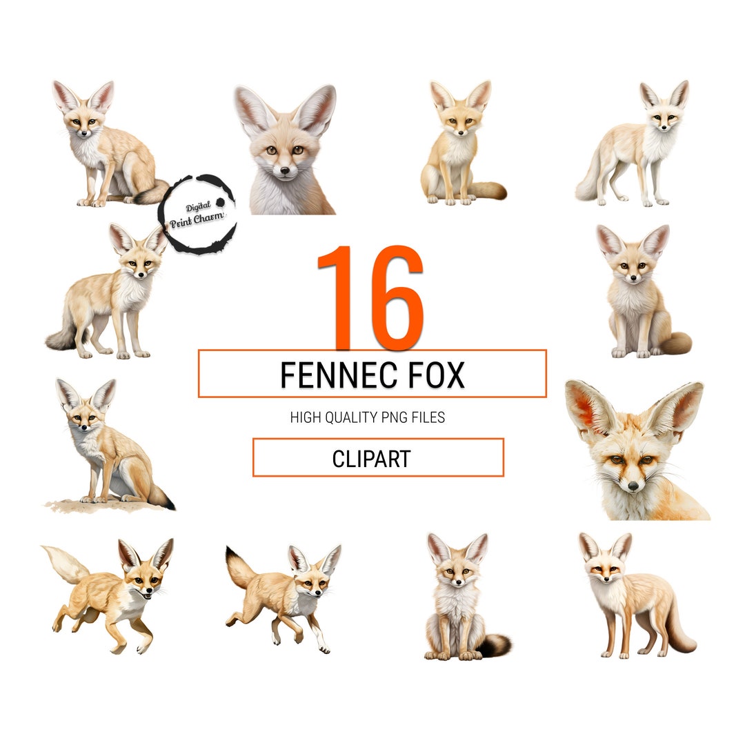 Charming Fennec Fox Watercolor Clipart Set | 16 Realistic Desert Animal ...