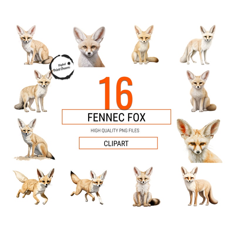 Charming Fennec Fox Watercolor Clipart Set 16 Realistic Desert Animal ...