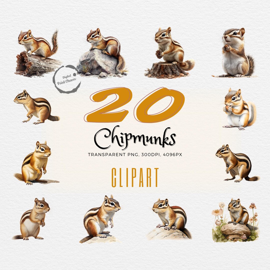 Chipmunk Charm PNG | 20 Watercolor Wonders | Forest Friends Collection ...