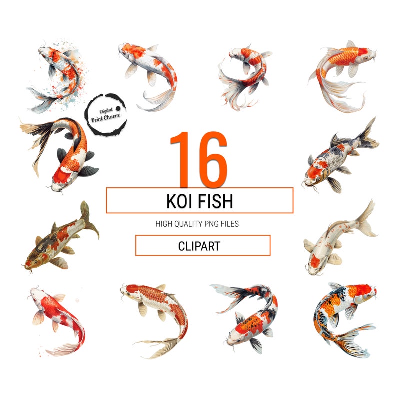 Coi Fish - Etsy