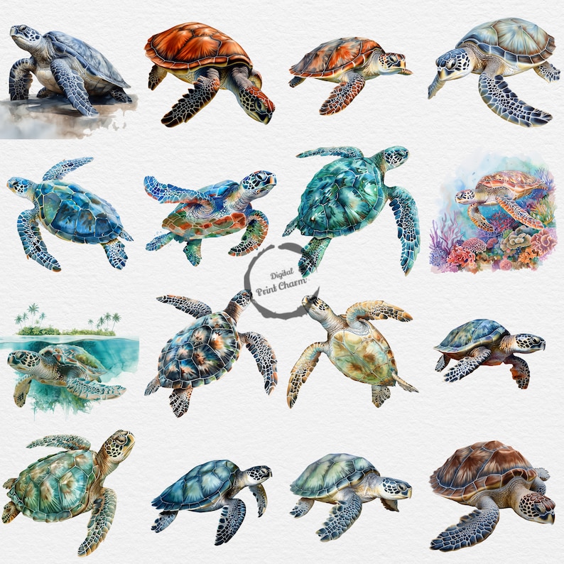 Watercolor Sea Turtles Clipart 20 Realistic Ocean Creatures Digital ...