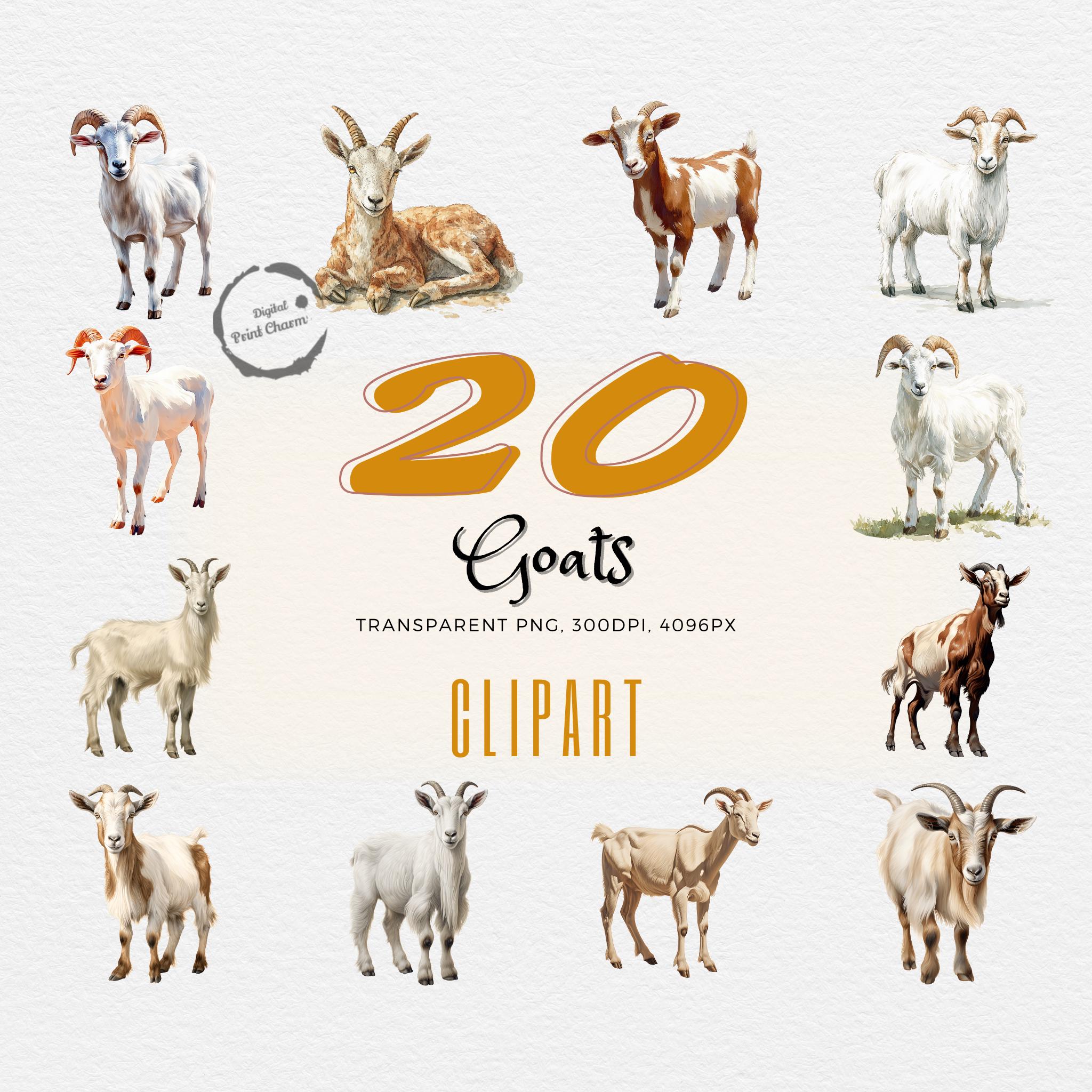 Goat Clipart Bundle | Realistic Watercolor Style | 20 Digital Goat ...