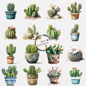 Cacti Clipart Bundle | 20 Realistic Watercolor Digital Prints | Perfect ...