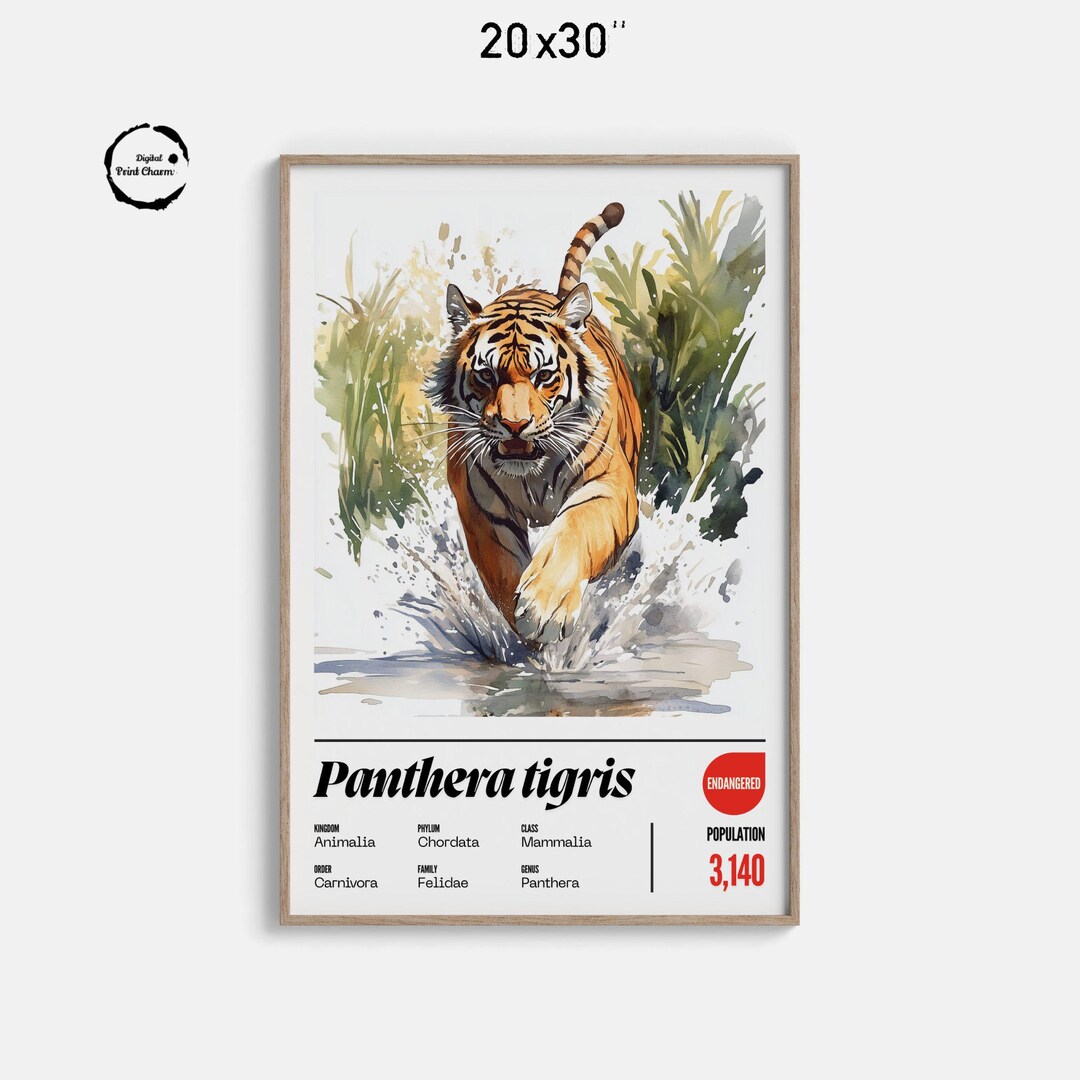 Limited Edition: Stunning Tiger Poster With Taxonomy & Conservation ...
