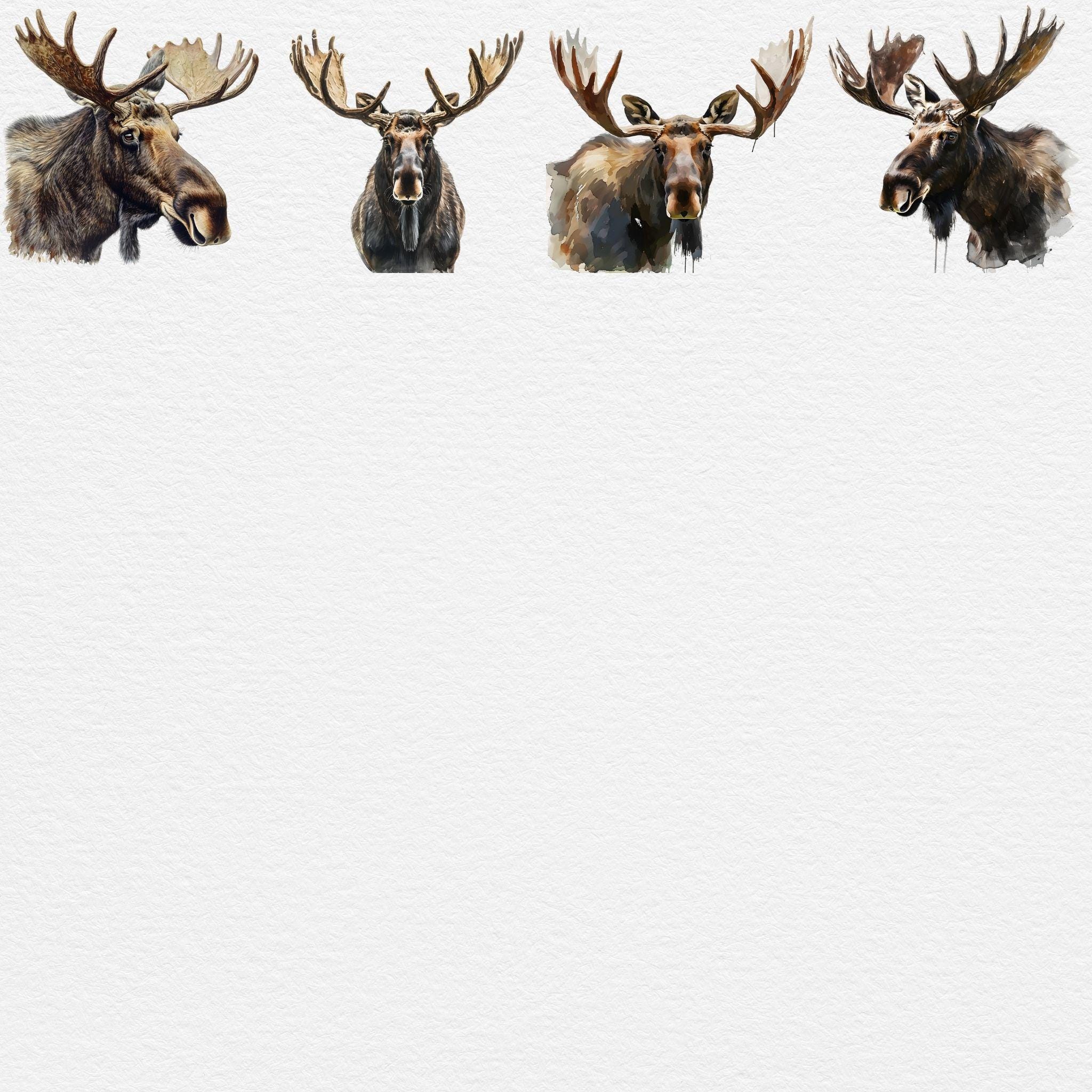 Majestic Moose Portrait Clipart Bundle | 20 Realistic Wildlife ...