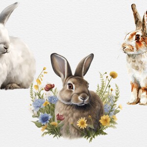 Realistic Rabbit Art Bundle | 20 Watercolor Paintings | Digital Clipart ...