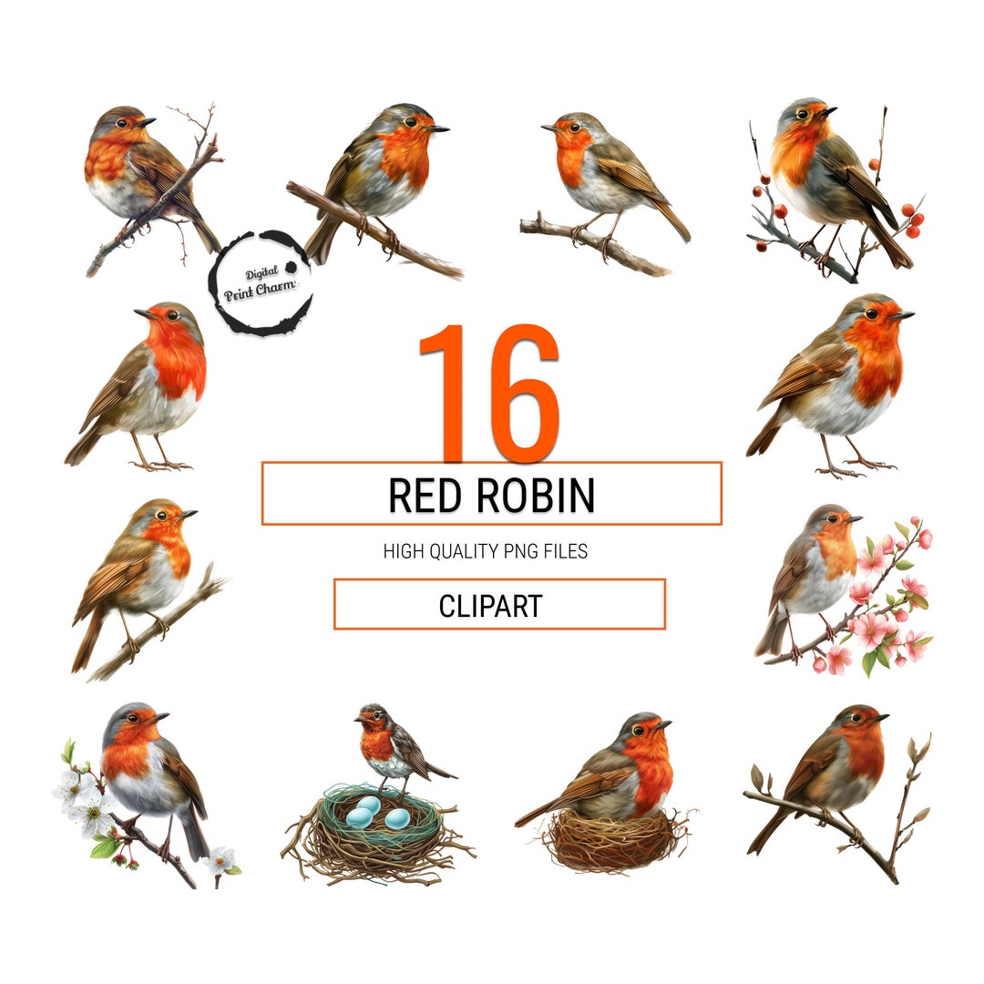 Red Robin Clipart Bundle | 16 Realistic Bird Illustrations | Perfect ...