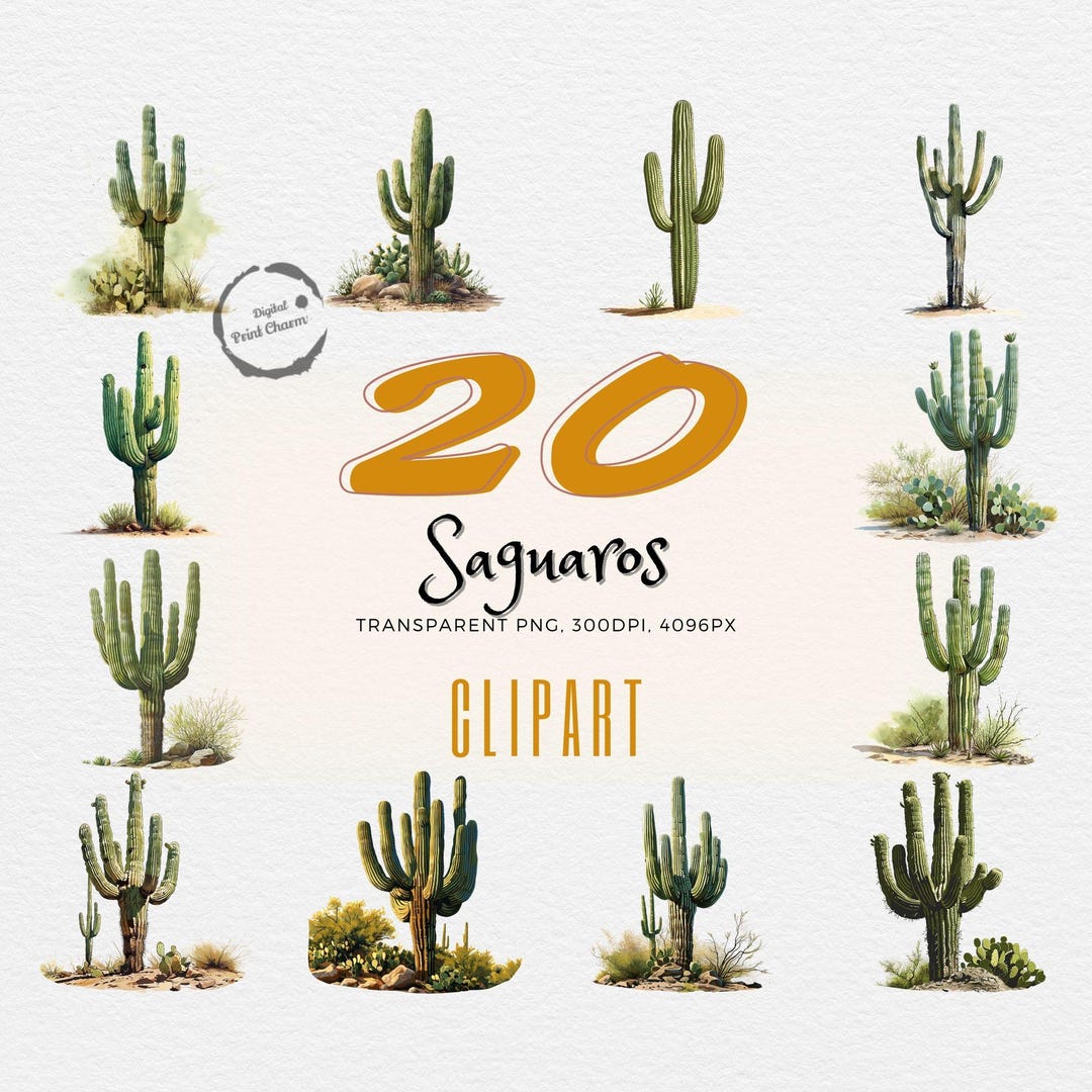 Stunning Saguaro Cactus Clipart | 20 Realistic Desert Illustrations ...