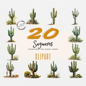Stunning Saguaro Cactus Clipart | 20 Realistic Desert Illustrations ...