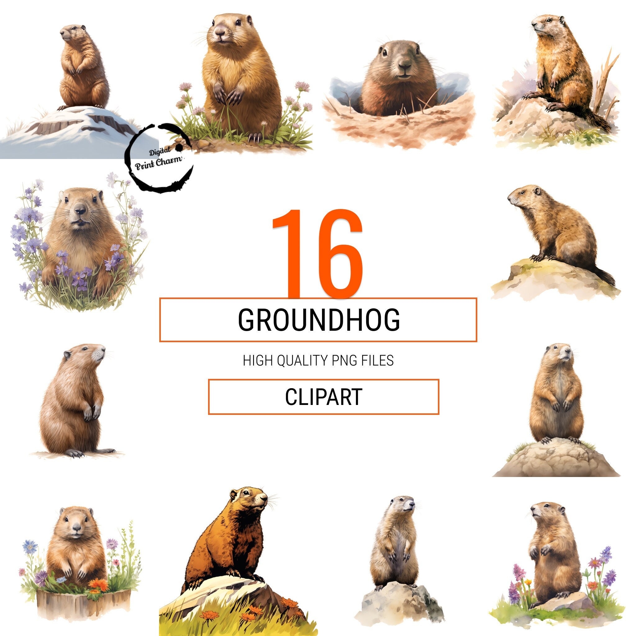 16 Groundhog Watercolor Cliparts Realistic Digital Prints for Crafting ...