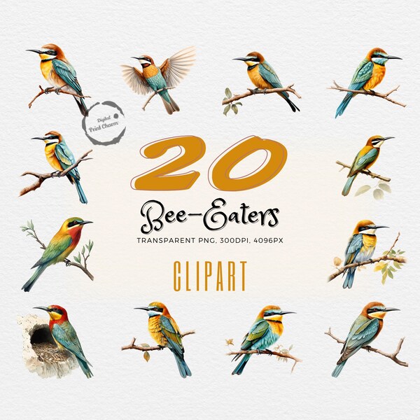 Bee Eater - Etsy