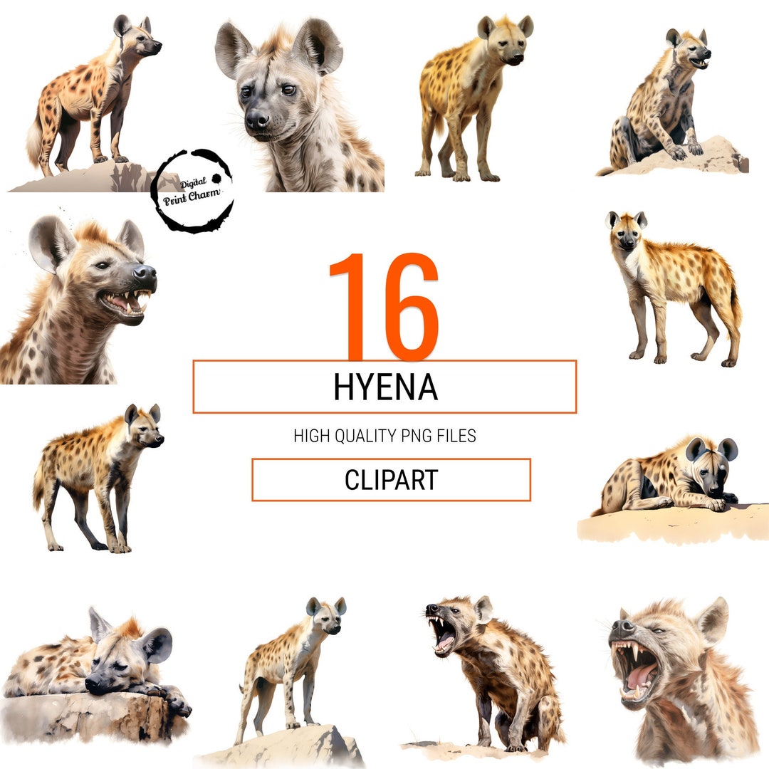 16 Hyena Clipart Digital Prints Realistic Watercolor Art Perfect for ...