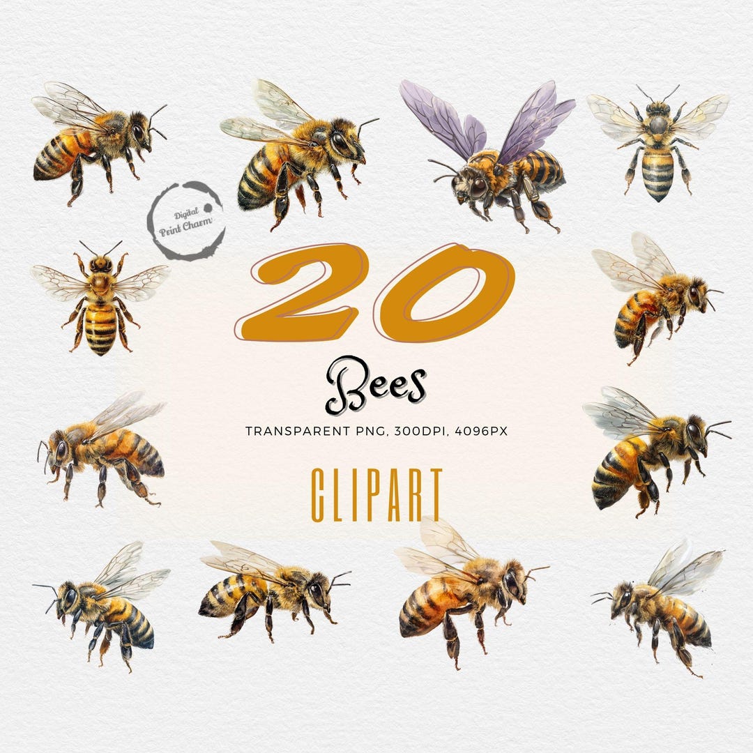 Sweet as Honey 20 Bee Clipart Bundle | Bumblebee and Honeybee Art ...