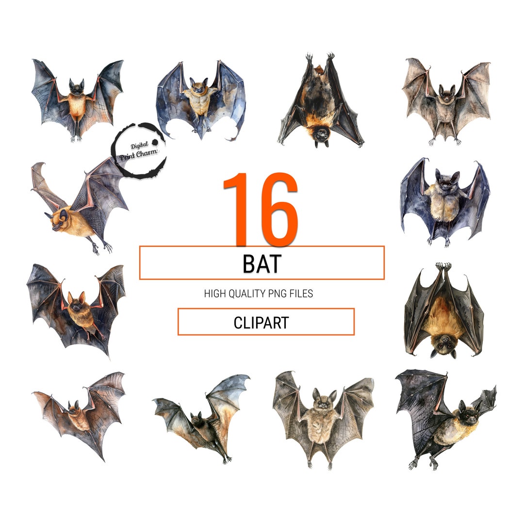 Realistic Bat Clipart Bundle | 16 Detailed Bat Illustrations | Perfect ...