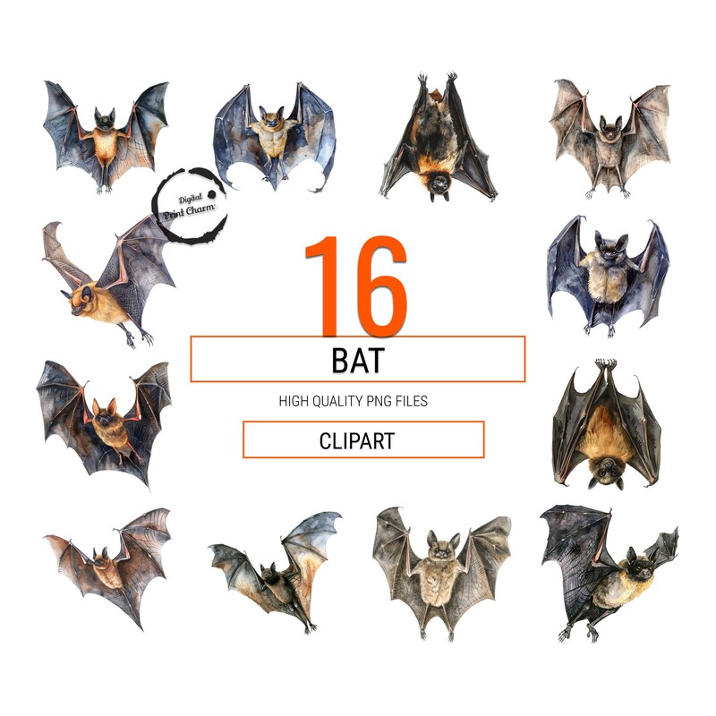 Realistic Bat - Etsy