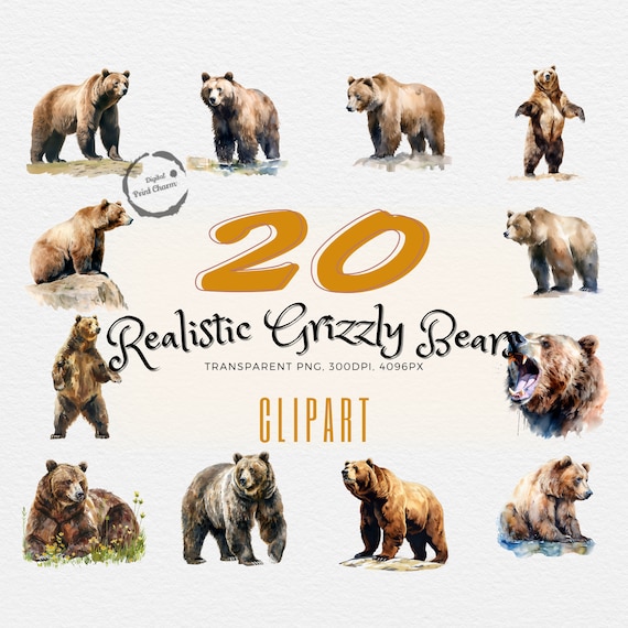 Grizzly Bears Clipart Bundle Brown Bear Clipart Majestic Brown Bear