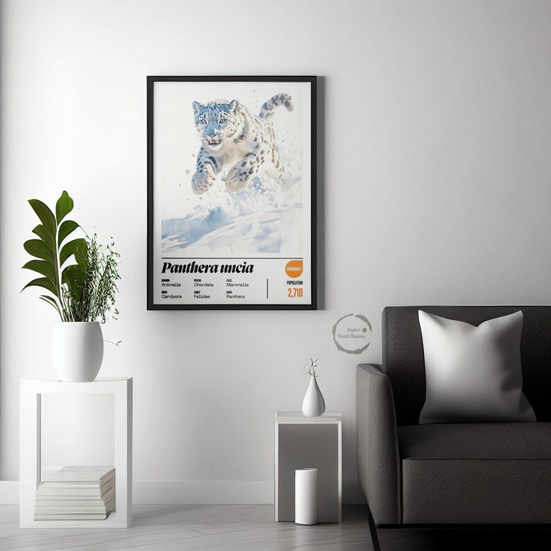 Exclusive: Stunning Snow Leopard Poster With Taxonomy & Conservation ...