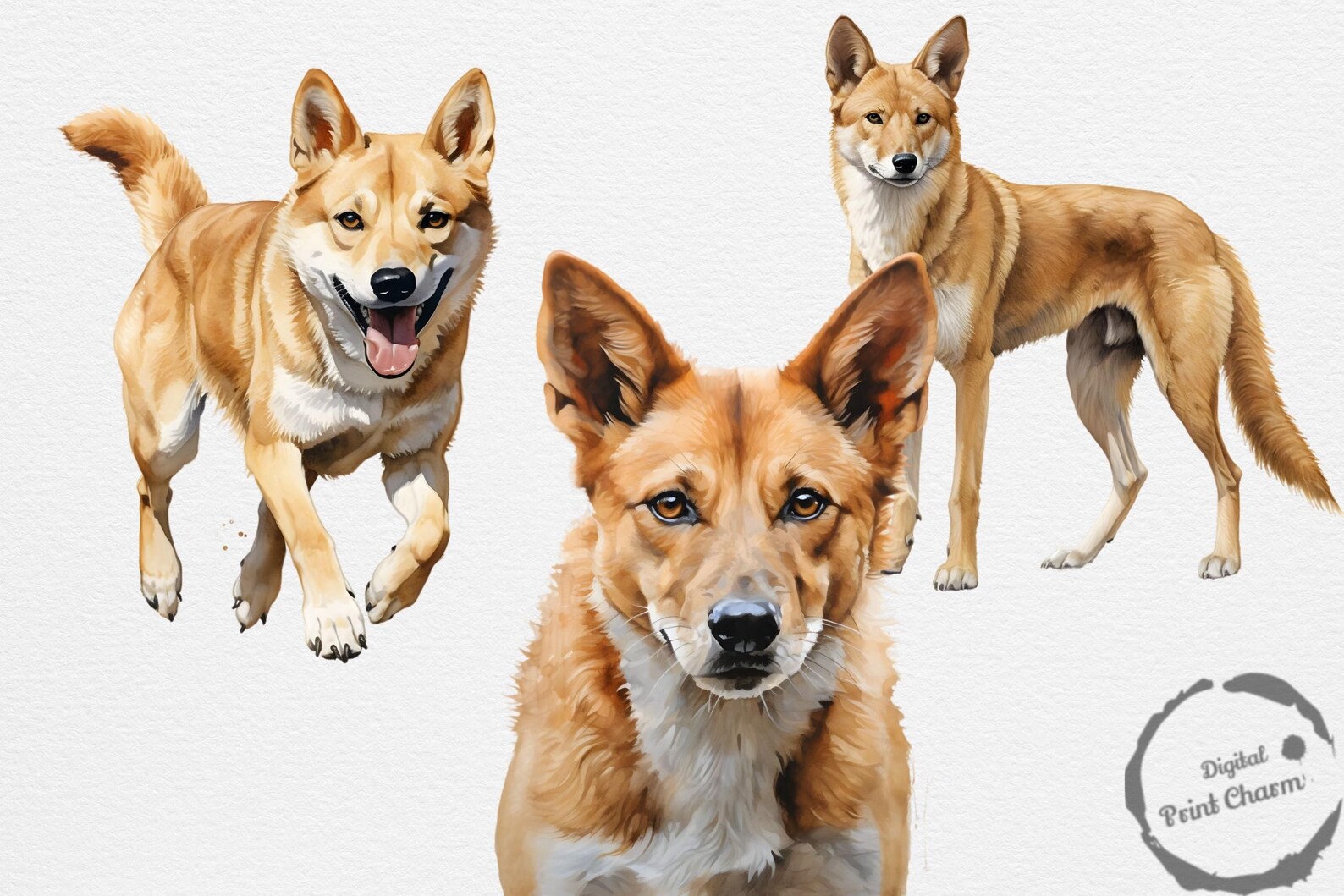 Dingo Dreamscapes | Outback Wonders | Aussie Wild Canine Art | Nature's ...