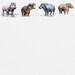 20 Realistic Hippo Prints | Watercolor Digital Clipart | Essential for ...