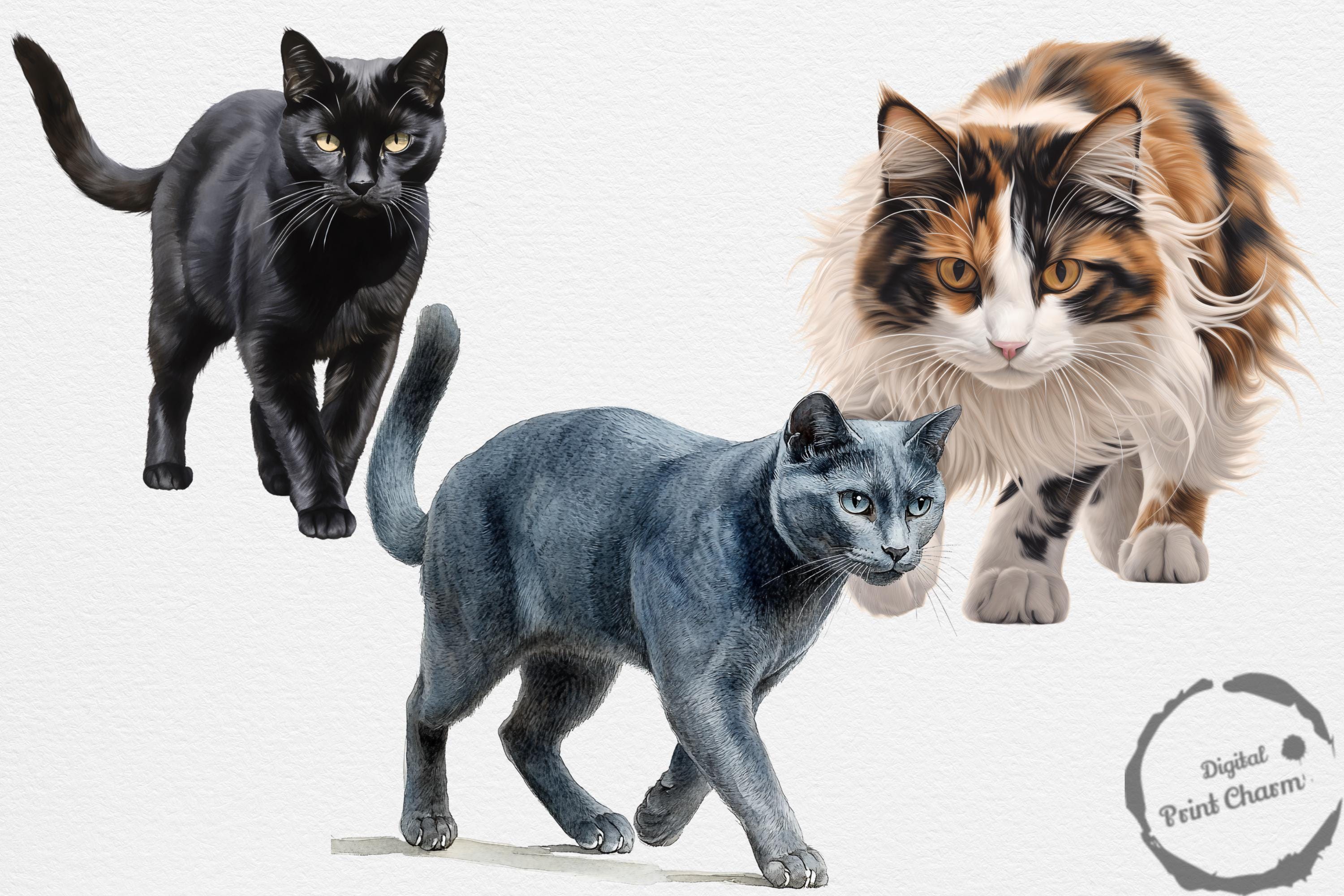 Watercolor Cat Clipart | Bundle of 20 Prowling Feline Prints | Perfect ...