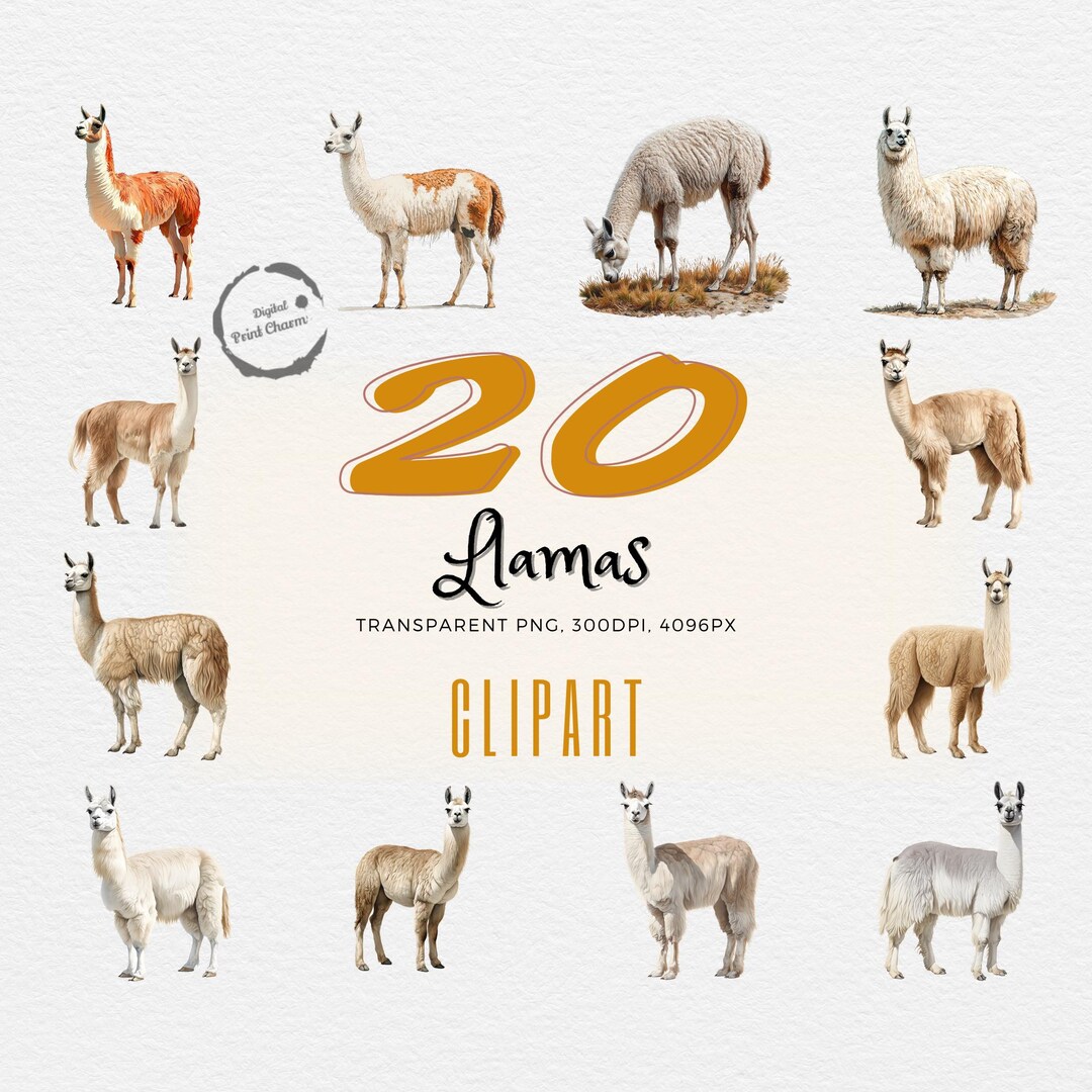 Llama Clipart Bundle | Realistic Watercolor Style | 20 Digital Llama ...