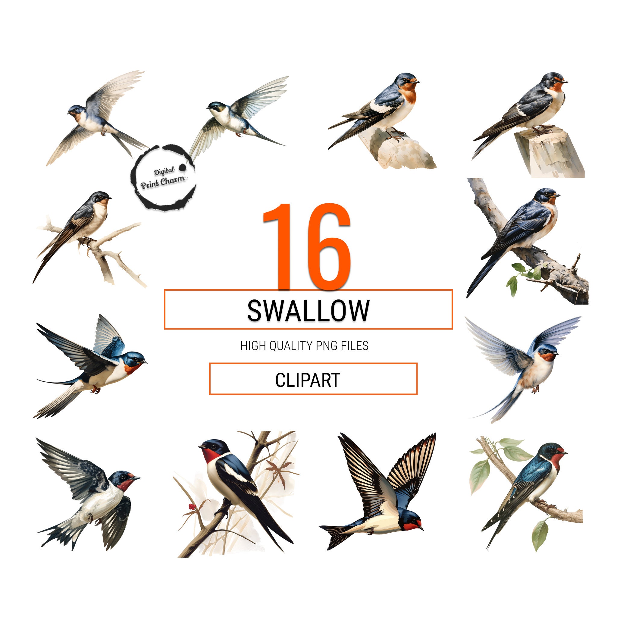 Swallow Watercolor Clipart Bundle Realistic Bird Prints 16 Artistic ...