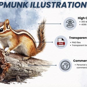 Chipmunk Charm PNG | 20 Watercolor Wonders | Forest Friends Collection ...