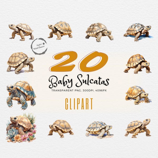 Sulcata Tortoise Svg - Etsy