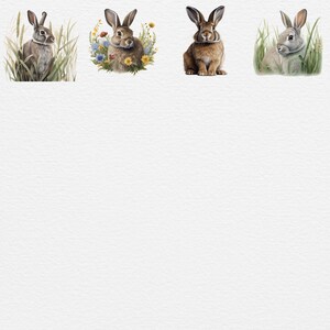 Realistic Rabbit Art Bundle | 20 Watercolor Paintings | Digital Clipart ...