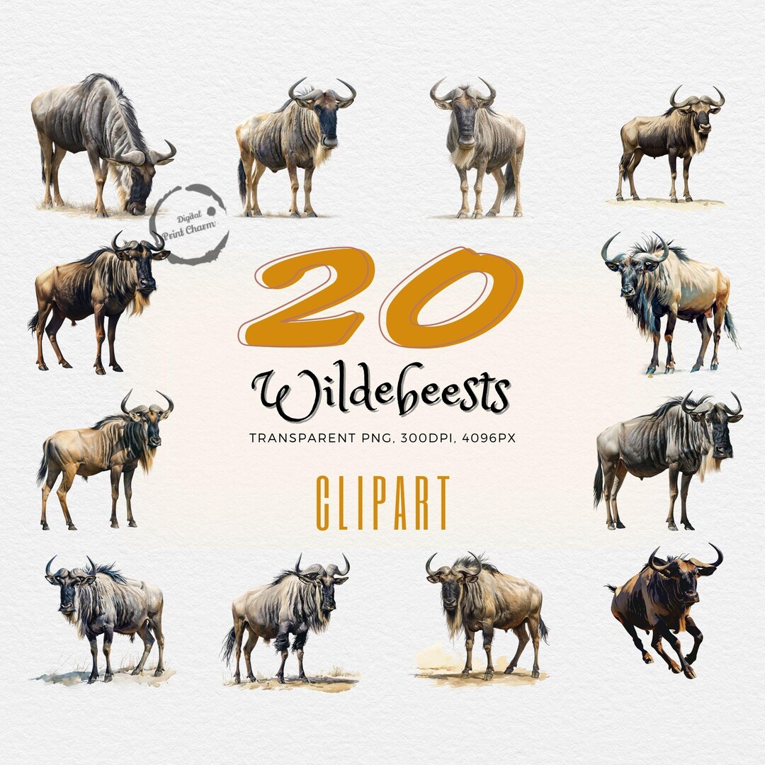 Majestic Wildebeest Clipart Set | 20 Realistic Gnu Illustrations ...