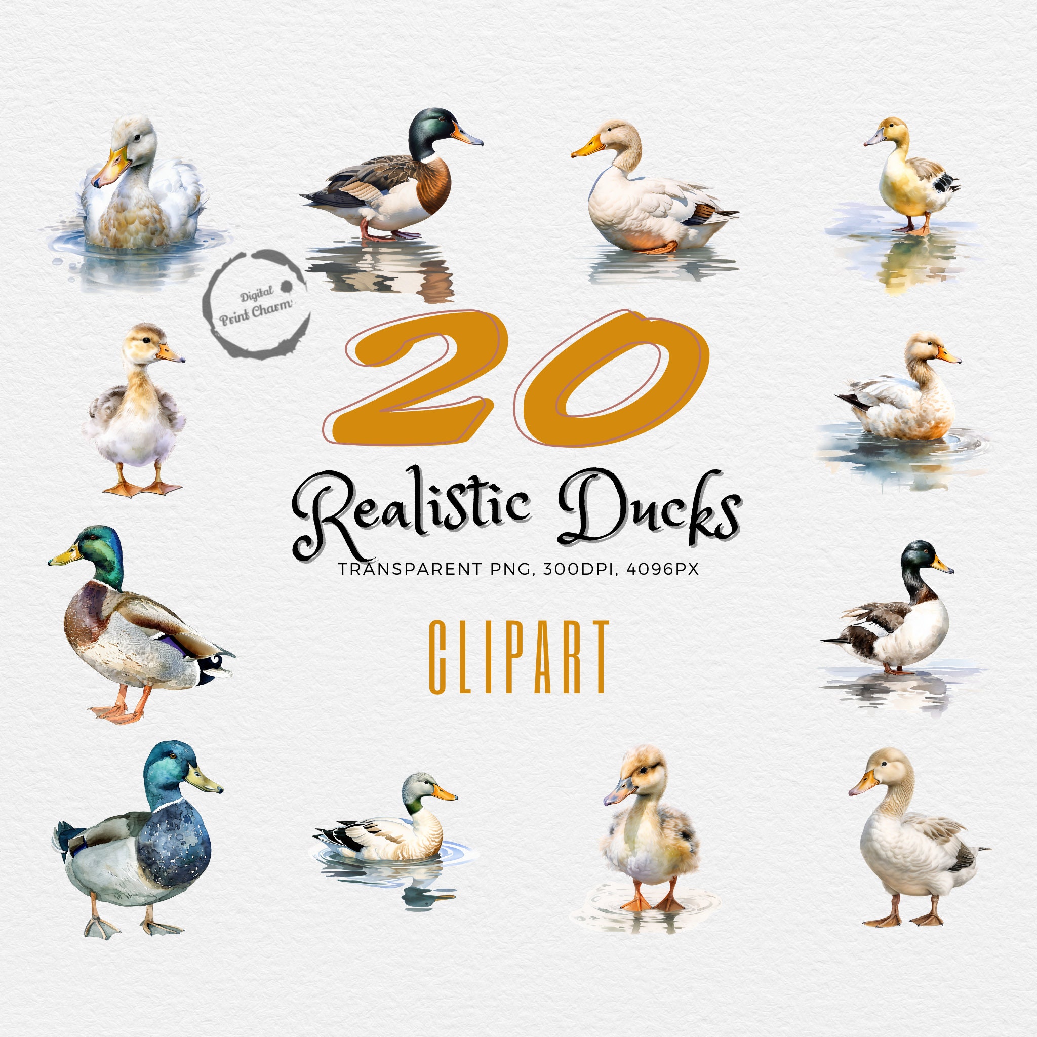 20 Realistic Watercolor Duck Clipart Set Digital Prints Scrapbooking ...