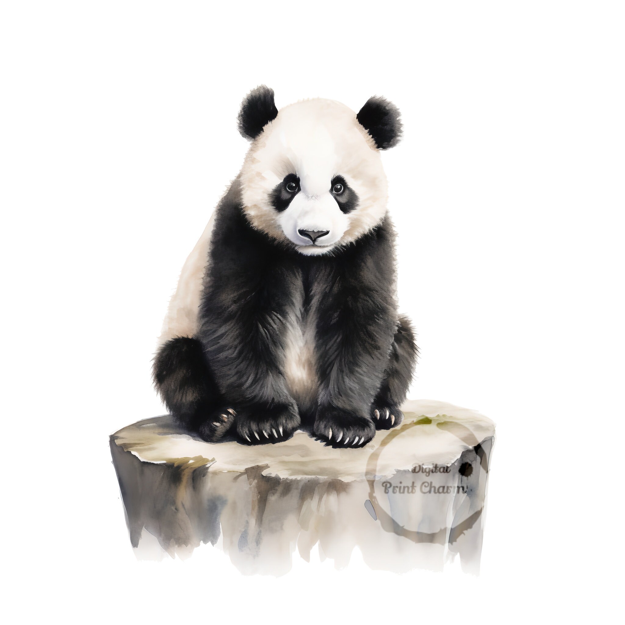 Panda Digital Prints Watercolor Artwork Bundle of 12 - Etsy