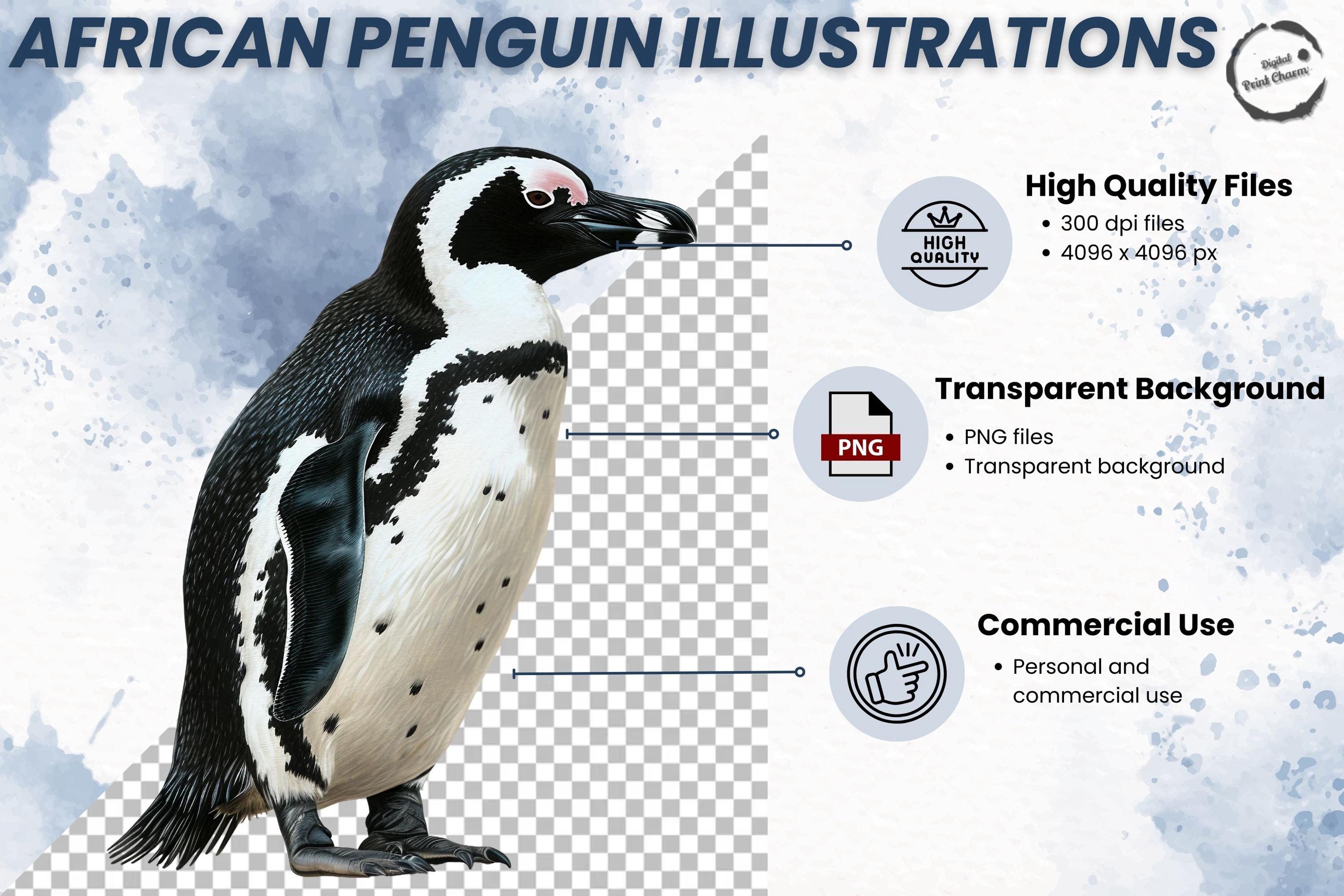 Charming African Penguin Clipart | 20 Realistic Illustrations ...