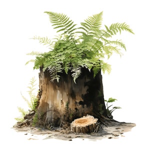 Watercolor Ferns & Tree Stumps | Realistic Digital Prints | 20 Clipart ...
