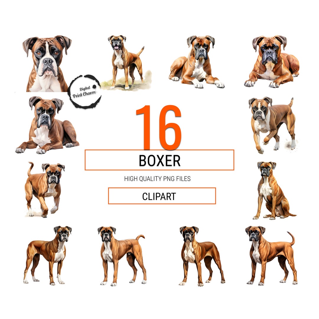 Paw-fect Artistry 16 Realistic Boxers Dog Watercolor Clipart Canine ...