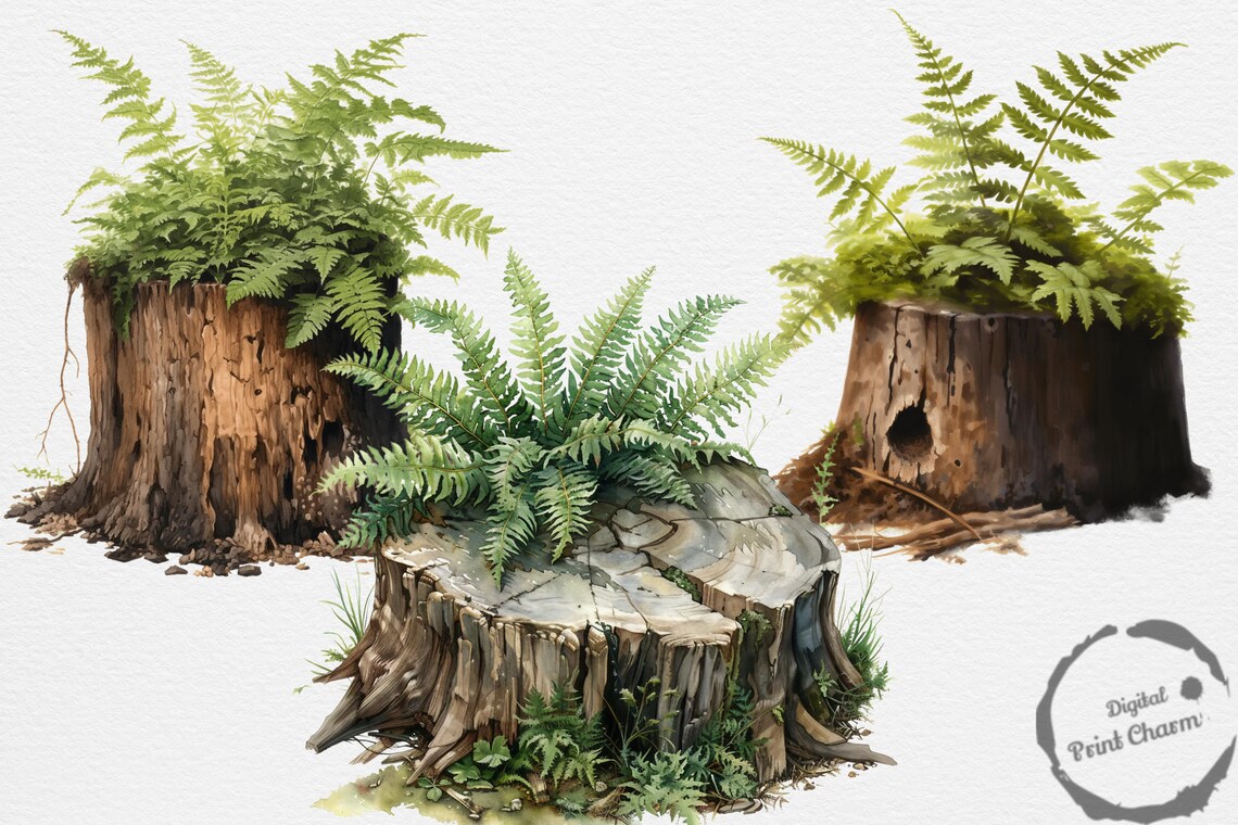 Watercolor Ferns & Tree Stumps | Realistic Digital Prints | 20 Clipart ...