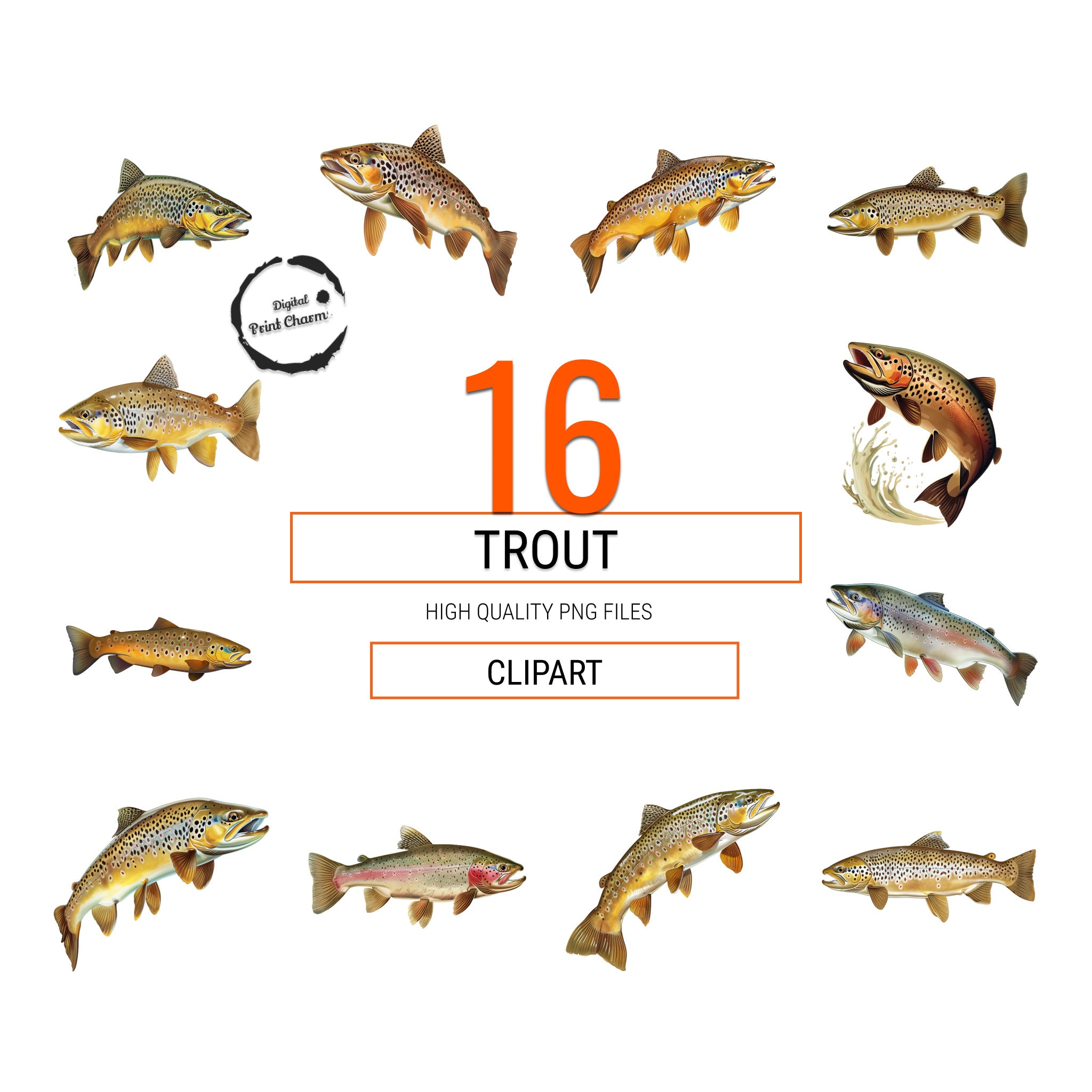 Exquisite Trout Clipart Bundle 16 Realistic Fish Illustrations Perfect for Angling Guides ...