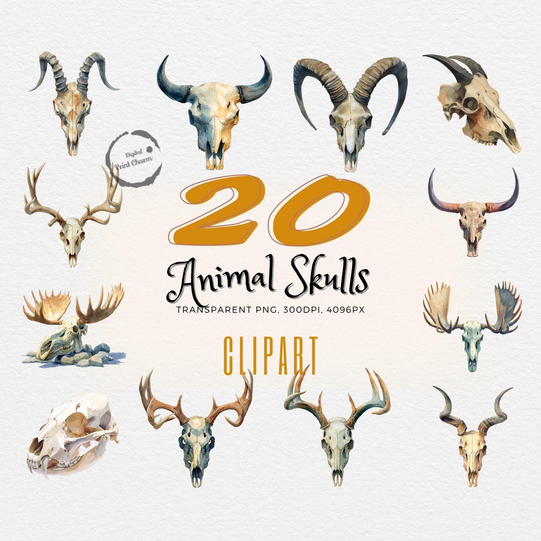 20 Rustic Animal Skull Clipart | the Art You've Been Searching for ...