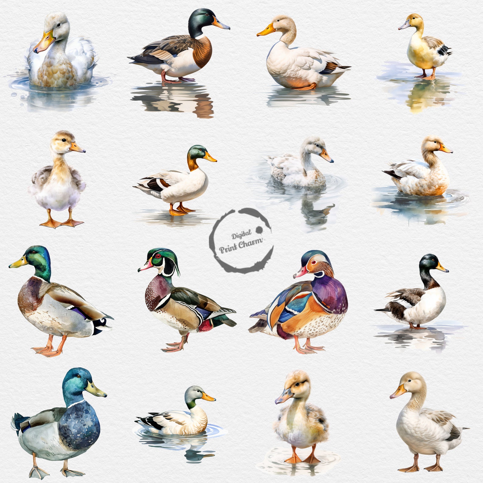 20 Realistic Watercolor Duck Clipart Set Digital Prints Scrapbooking ...