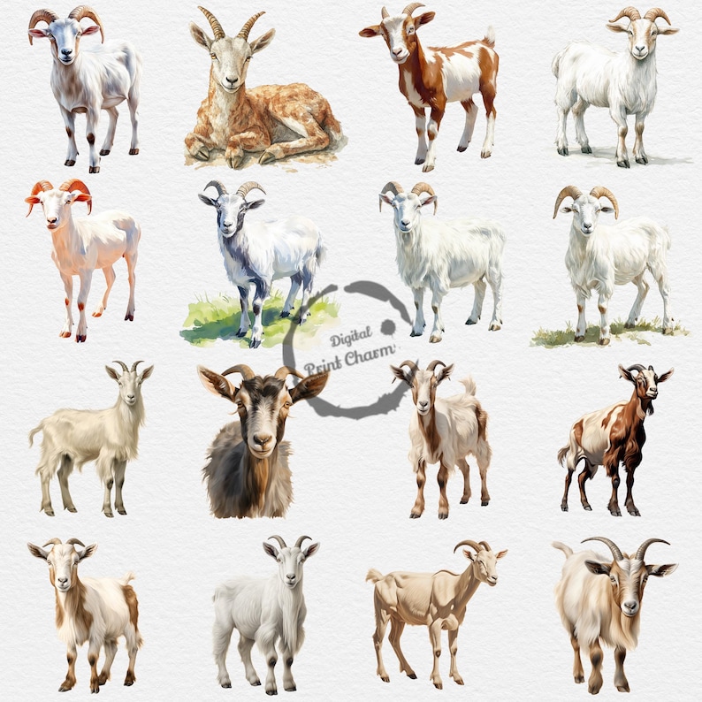 Goat Clipart Bundle | Realistic Watercolor Style | 20 Digital Goat ...