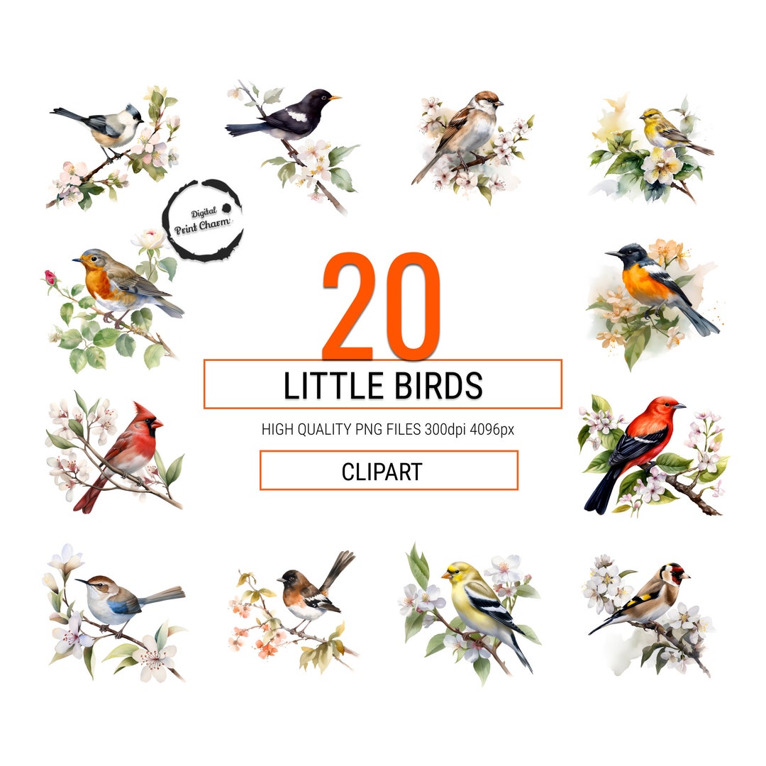 Beautiful Bird Watercolor Clipart Set | 20 Digital Prints Featuring ...