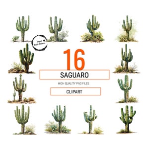 Stunning Saguaro Cactus Clipart | 16 Realistic Desert Illustrations ...