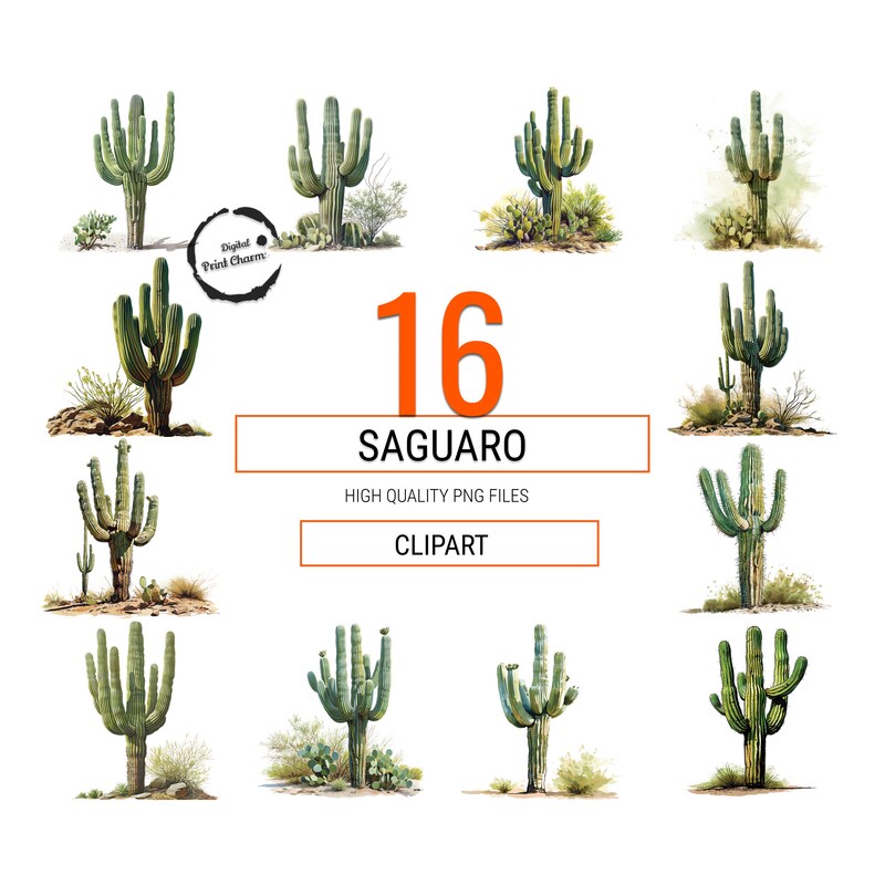 Cactus Illustrations - Etsy