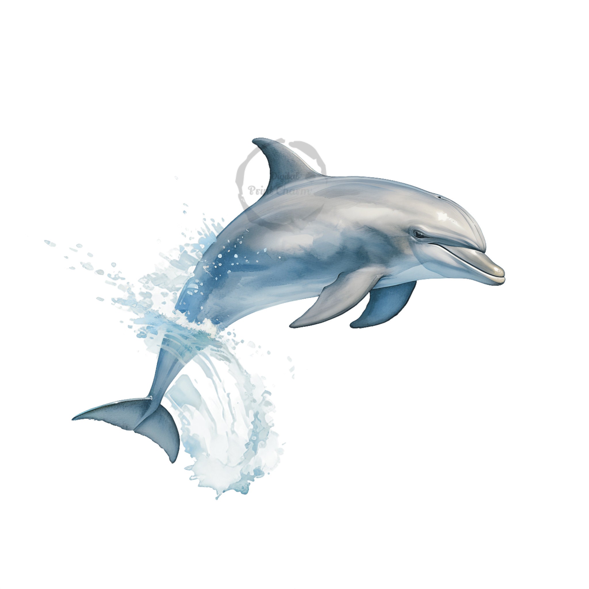 Realistic Dolphin Clipart Watercolor Digital Prints Scrapbooking ...