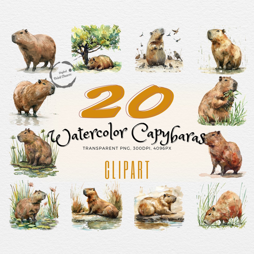 Realistic Capybara Clipart Bundle | 20 Watercolor Illustrations | Gift ...