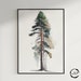 Sequoia Tree, Watercolor, Digital Printable Art Work, Digital Download ...